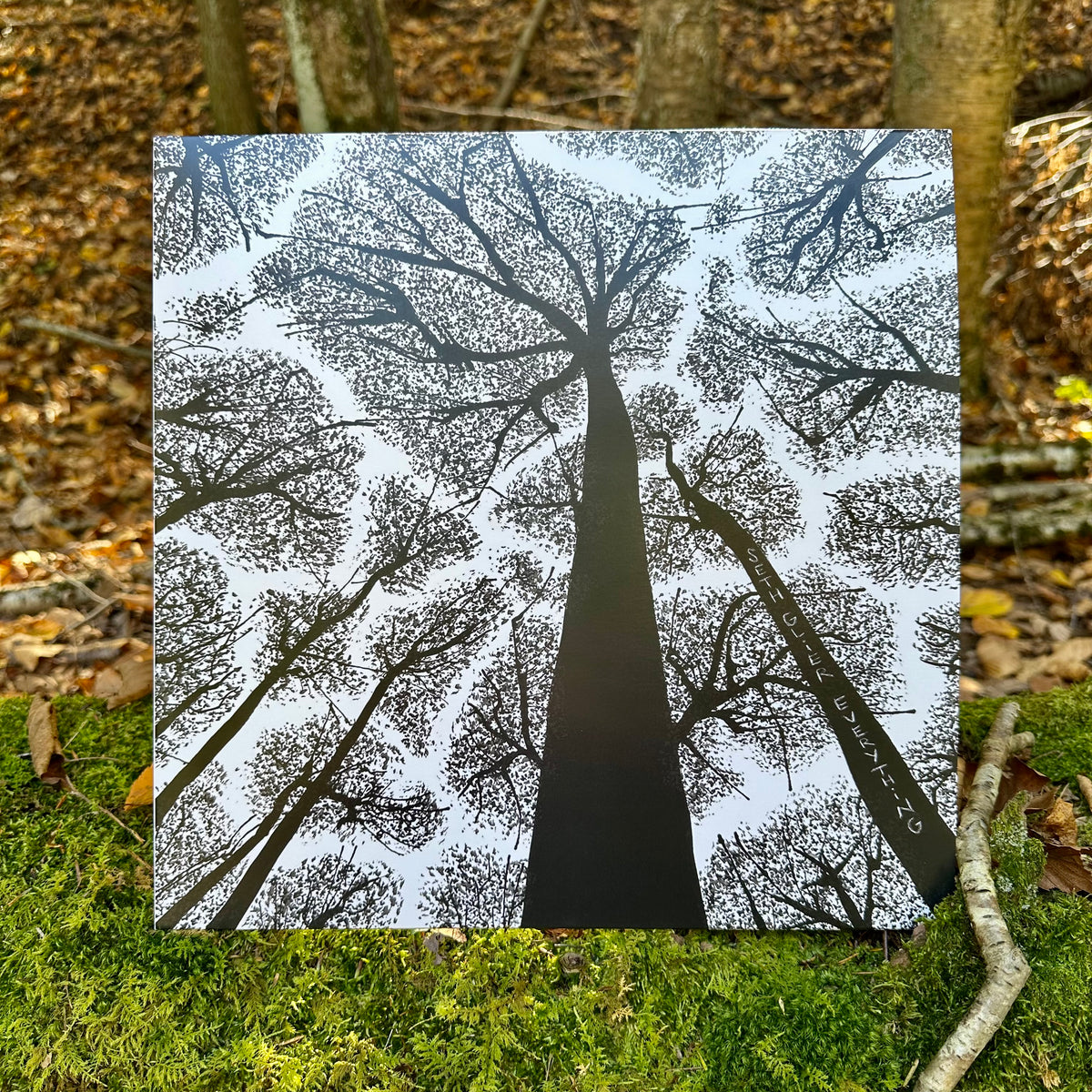 Seth Glier – Everything Vinyl – Invasion Merch